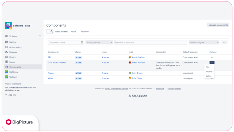 Jira Components. How BigPicture handles them? | BigPicture